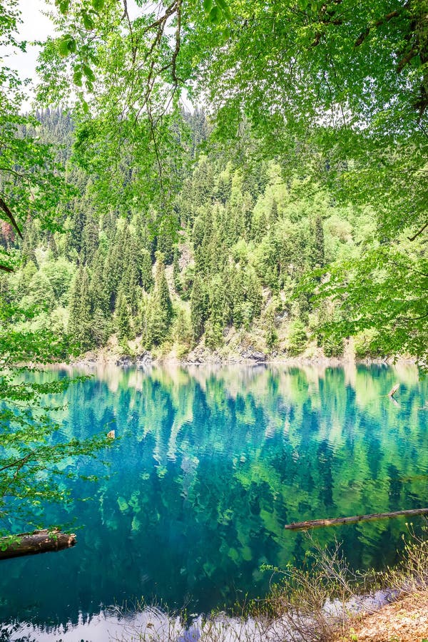 The Crystal Blue Lake in the Mountains Stock Image - Image of green ...