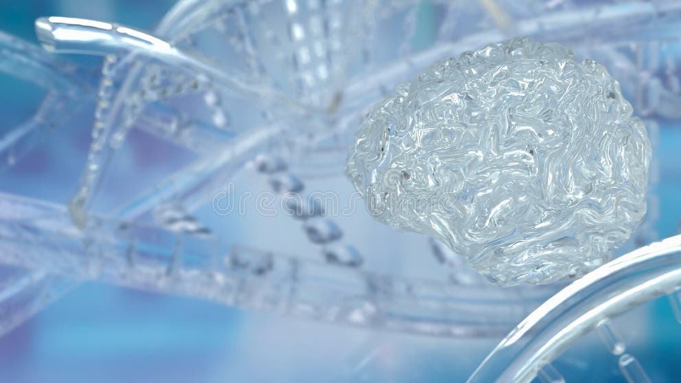The Crystal Brain for Sci or Technology Concept 3d Rendering Stock ...