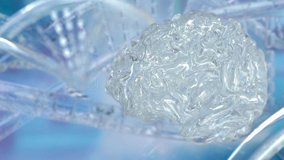 The Crystal Brain for Sci or Technology Concept 3d Rendering Stock ...