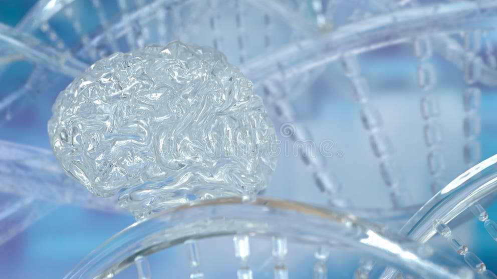 The Crystal Brain for Sci or Technology Concept 3d Rendering Stock ...