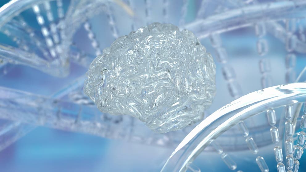 The Crystal Brain for Sci or Technology Concept 3d Rendering Stock ...