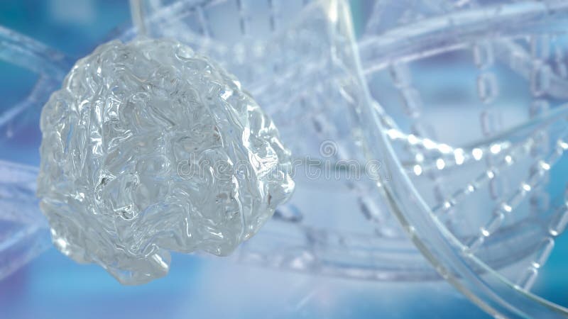 The Crystal Brain for Sci or Technology Concept 3d Rendering Stock ...