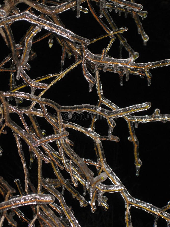 Crystal branches stock photo. Image of crystal, night - 139694438