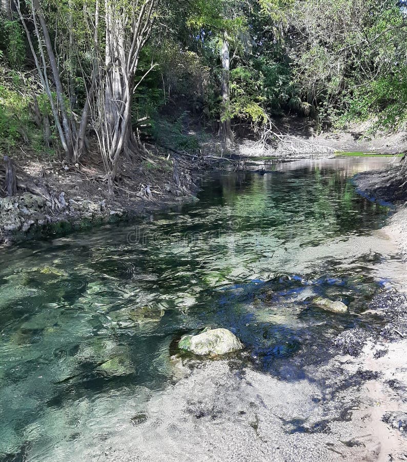 Florida Spring-fed River Panorama Stock Image - Image of central ...