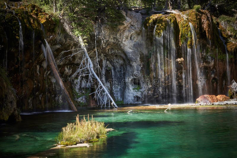 Crystal Clear Pond with a Cascading Waterfall, Surrounded by Lush ...