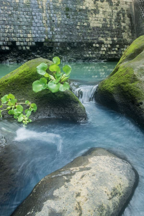 Crystal Clear River with Many Rocks Stock Photo - Image of park, exotic ...