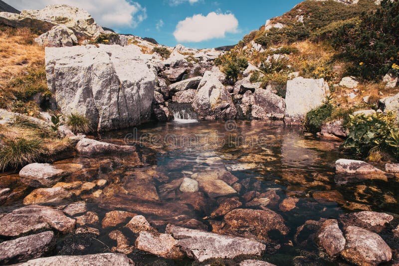 Crystal Clear Spring in the Mountains Stock Photo - Image of river ...