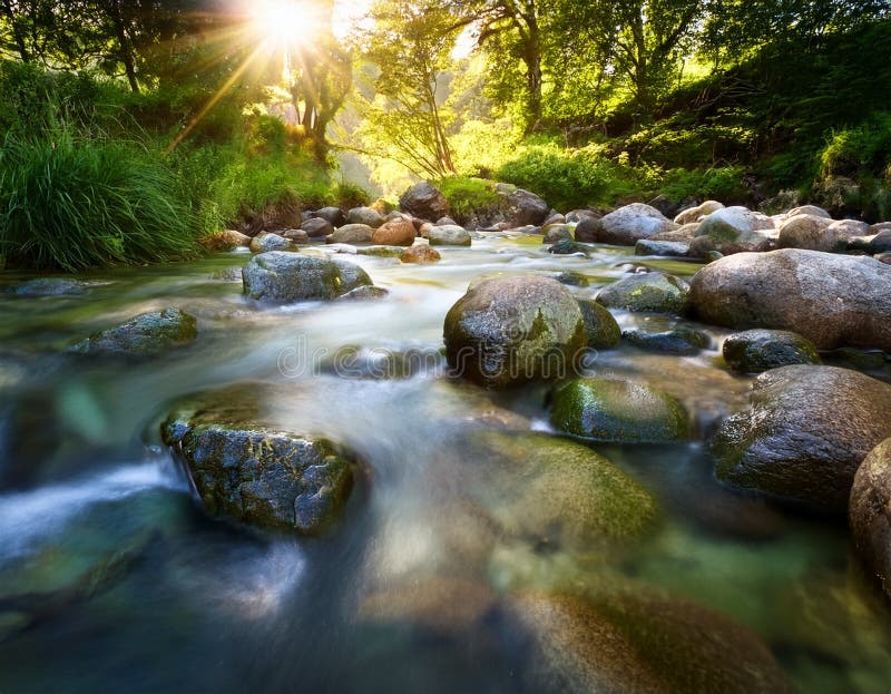 Crystal-clear Spring Water Flows Over Smooth River Stones, Surrounded ...