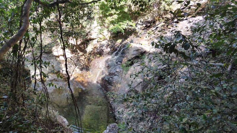 Crystal-Clear Stream Cascading Down a Steep Slope into a Serene Green ...