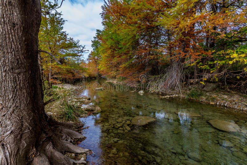 Crystal Clear Stream with Fall Colors, in Texas. Stock Photo - Image of ...
