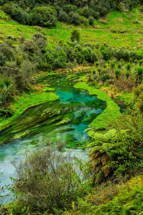 Crystal clear stream stock image. Image of clean, background - 149986845