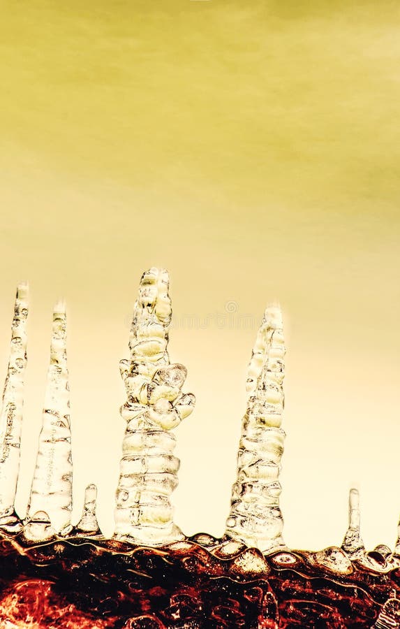 Crystal Clear Water Icicles Hand on Tree Above Stream Stock Photo ...
