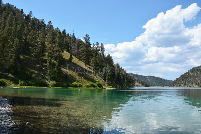 Crystal Clear Water at the Lake Stock Photo - Image of green, natural ...
