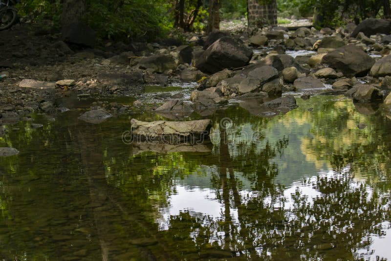 Trees and rocks texture stock photo. Image of leaves - 130038194