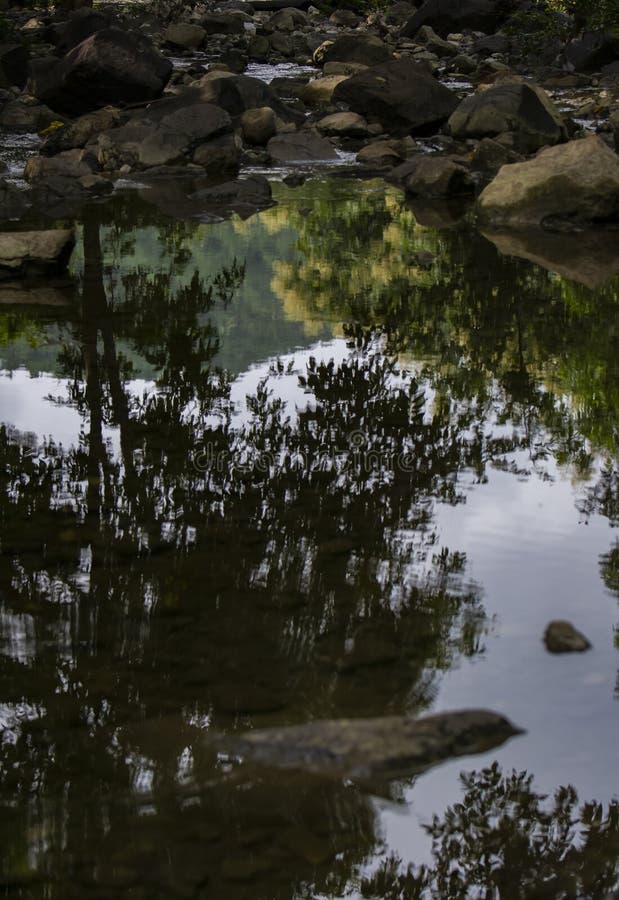 Trees and rocks texture stock photo. Image of leaves - 130038194