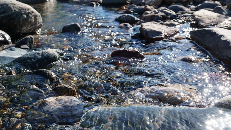 Crystal Clear Water of Small Brook in Altai Steppe Stock Image - Image ...