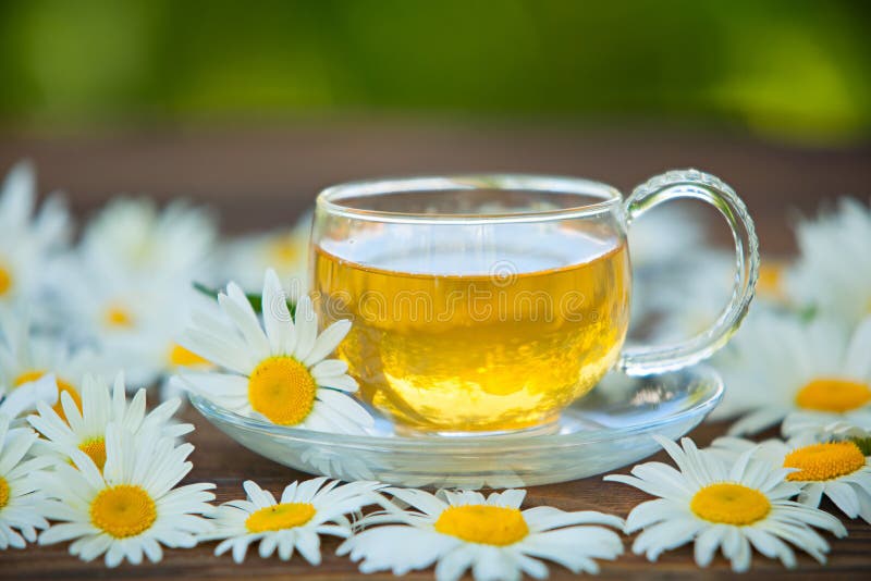 Crystal Cup with Green Tea on Table Stock Photo - Image of mayweed ...