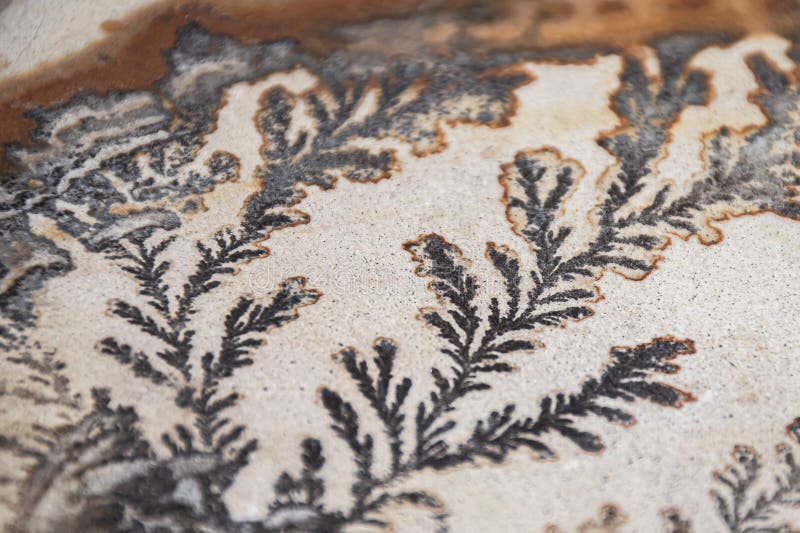 Macro of Textured Dendrite stock photo. Image of black - 322923202