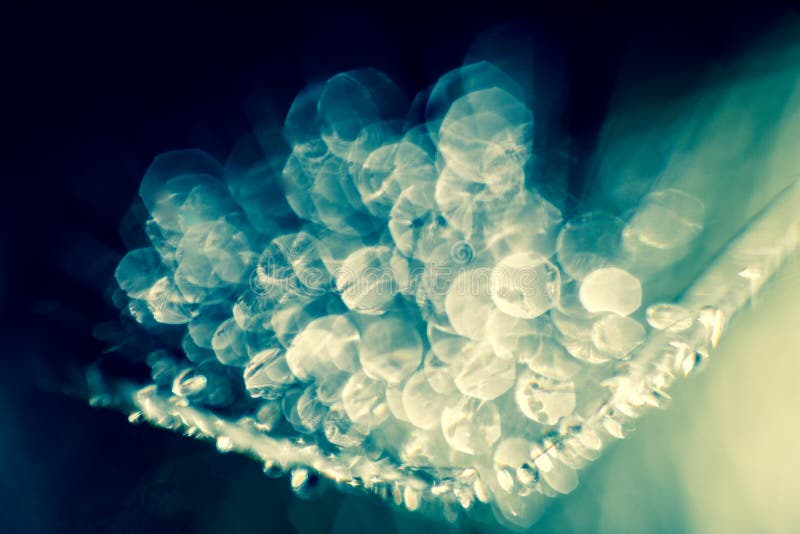 Crystal dew drops bokeh stock image. Image of botany - 95152399