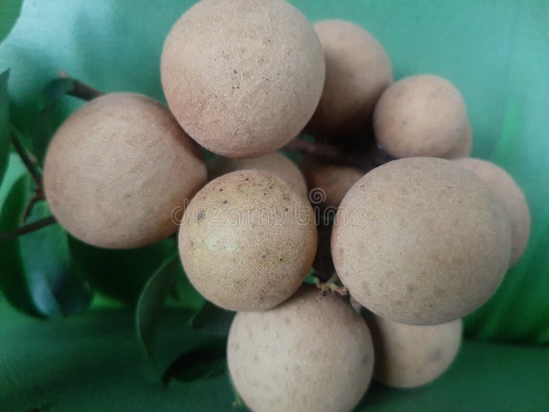 Crystal fruit dish stock image. Image of calorie, balls - 31268805