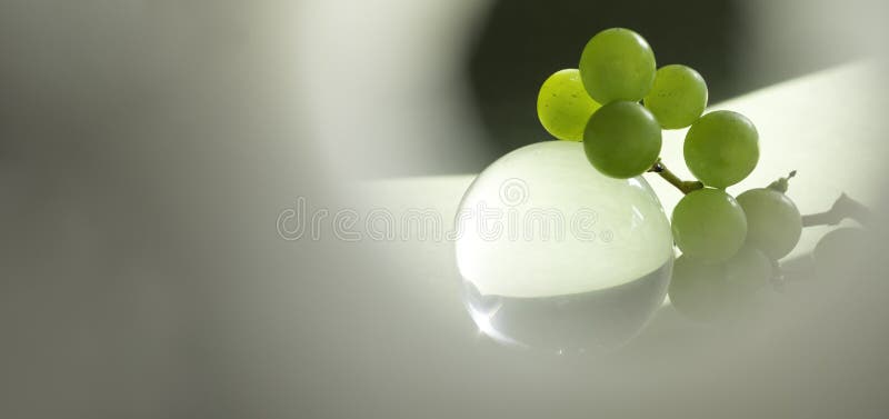 Red transparent grapes stock photo. Image of rural, market - 1277018