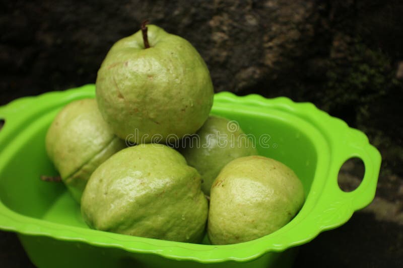 Crystal Guava stock photo. Image of asia, food, fruit - 273922532