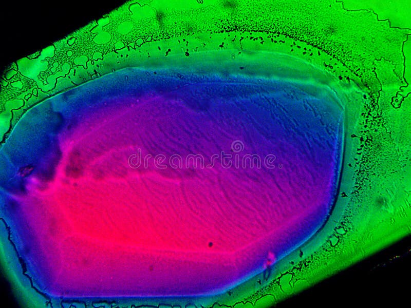 Crystal Layer on Microscope Object Glass, Seen in Polarized Light. this ...