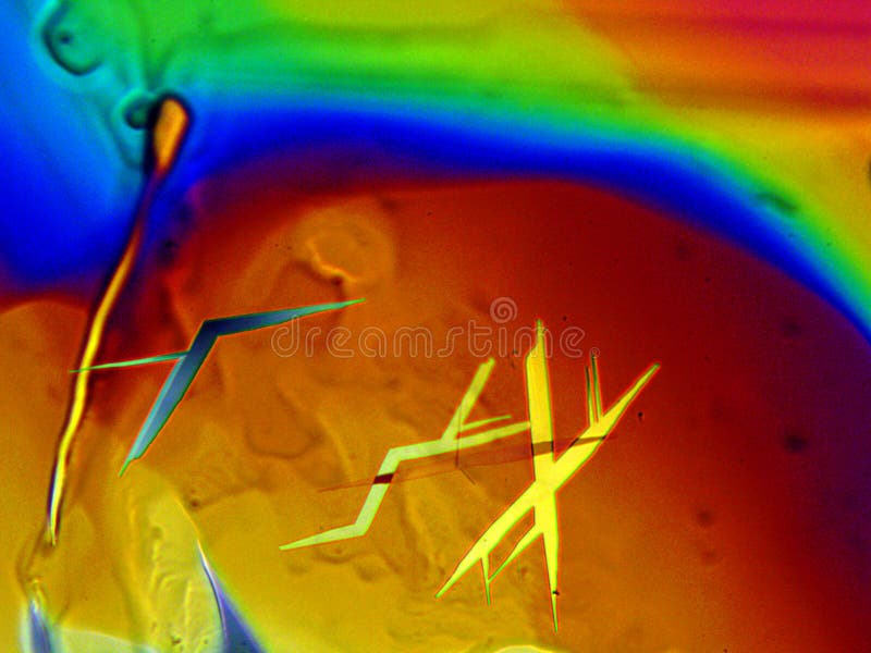 Crystal Layer on Microscope Object Glass, Seen in Polarized Light. this ...