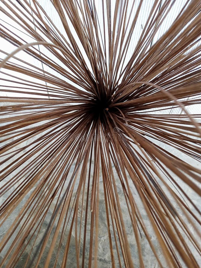 Crystal Methamphetamine Pictures Stock Photo - Image of twig, sunlight ...