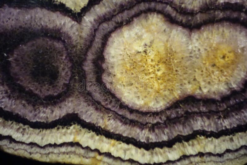 Crystal Patterns on a Gemstone Stock Photo - Image of crystal, rock ...