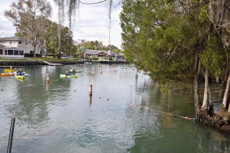 Crystal River, Three Sisters Springs December 26 2022 Editorial Photo ...
