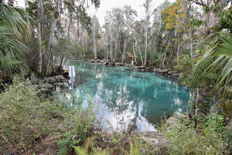 Crystal River, Three Sisters Springs December 26 2022 Stock Image ...