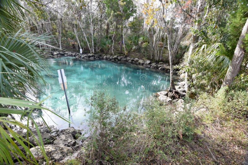 Crystal River, Three Sisters Springs December 26 2022 Stock Image ...