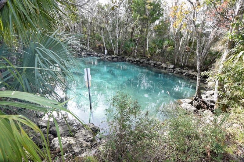 Crystal River, Three Sisters Springs December 26 2022 Stock Photo ...