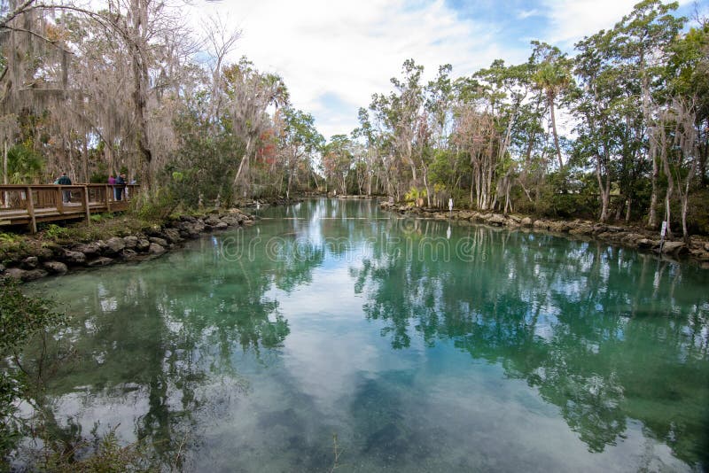 Crystal River, Three Sisters Springs December 26 2022 Editorial Photo ...