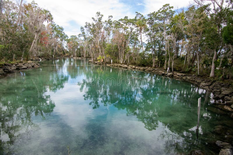 Crystal River, Three Sisters Springs December 26 2022 Editorial ...
