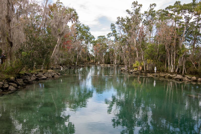 Crystal River, Three Sisters Springs December 26 2022 Editorial Photo ...