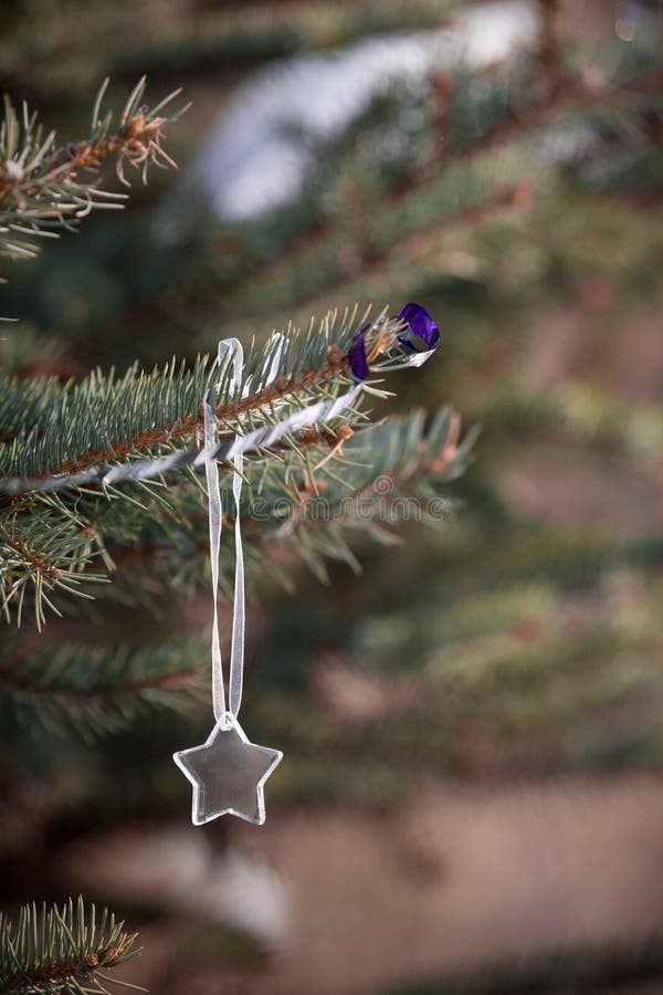 Crystal Star Decoration on Christmas Tree Outdoors. Presents and Decor ...