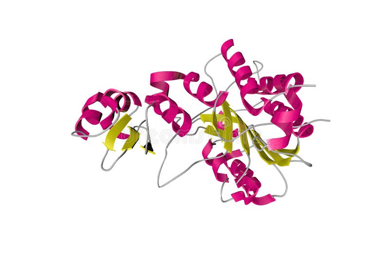 Crystal Structure of Caspase-9 in an Inhibitory Complex with XIAP-BIR3 ...
