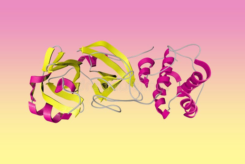 Crystal Structure of COVID-19 Main Protease in Complex with an ...
