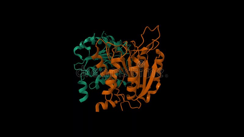 Crystal Structure of a Dimeric Caspase-9 Stock Video - Video of ...