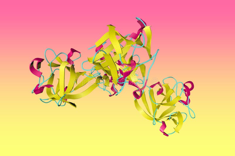 Crystal Structure of Fibroblast Growth Factor 18 (FGF18). Ribbons ...
