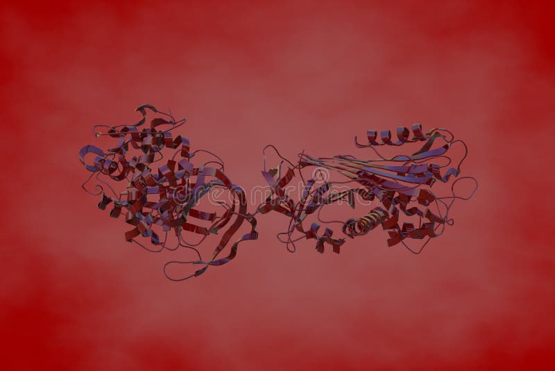 Crystal Structure of Human Antithrombin-III. Rendering Based on Protein ...