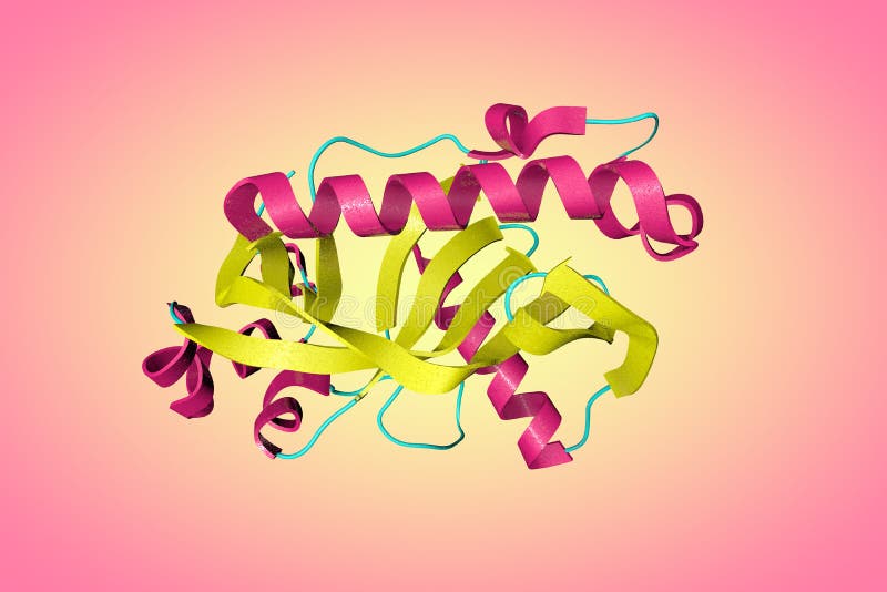 Crystal Structure of Human Phosphodiesterase, an Enzyme that Exhibits a ...