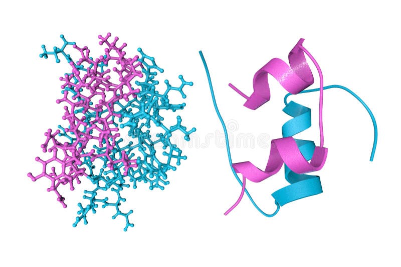 Insulin Model Stock Illustrations – 510 Insulin Model Stock ...