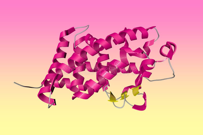 Crystal Structure of the Nuclear Receptor for Vitamin D in Complex with ...