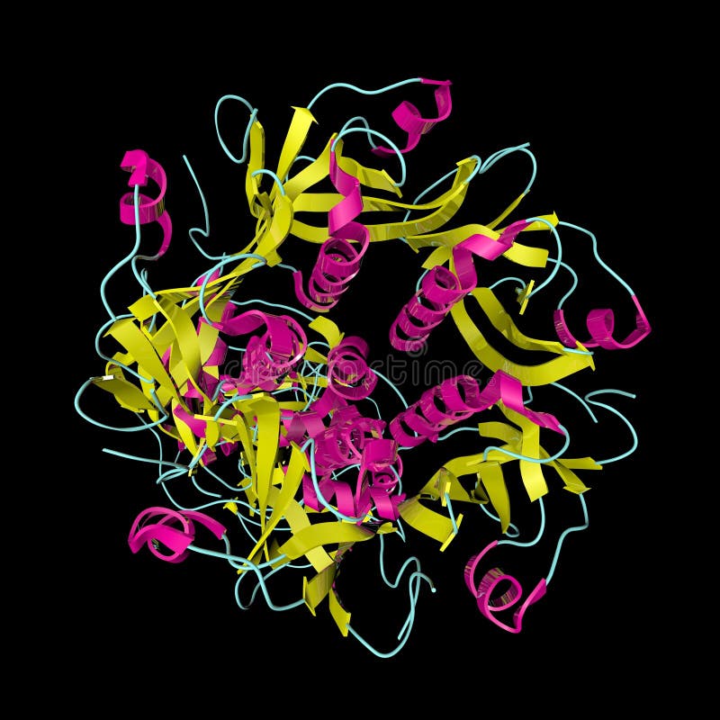 Crystal Structure of Typhoid Toxin Produced by Bacterium Salmonella ...