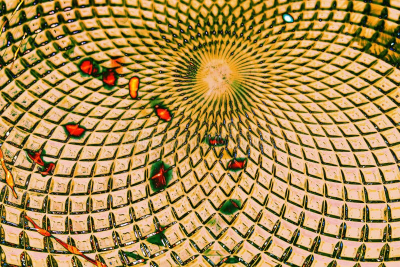 2,767 Changed Color Scheme Stock Photos - Free & Royalty-Free Stock ...