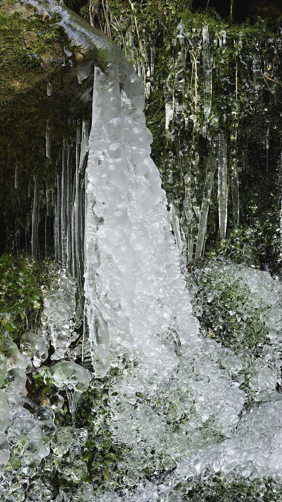 Crystal Winter stock photo. Image of backdrop, forest - 18867066