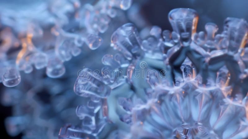 Crystallike Structure of a Mushroom Spore with Unique Patterns and ...